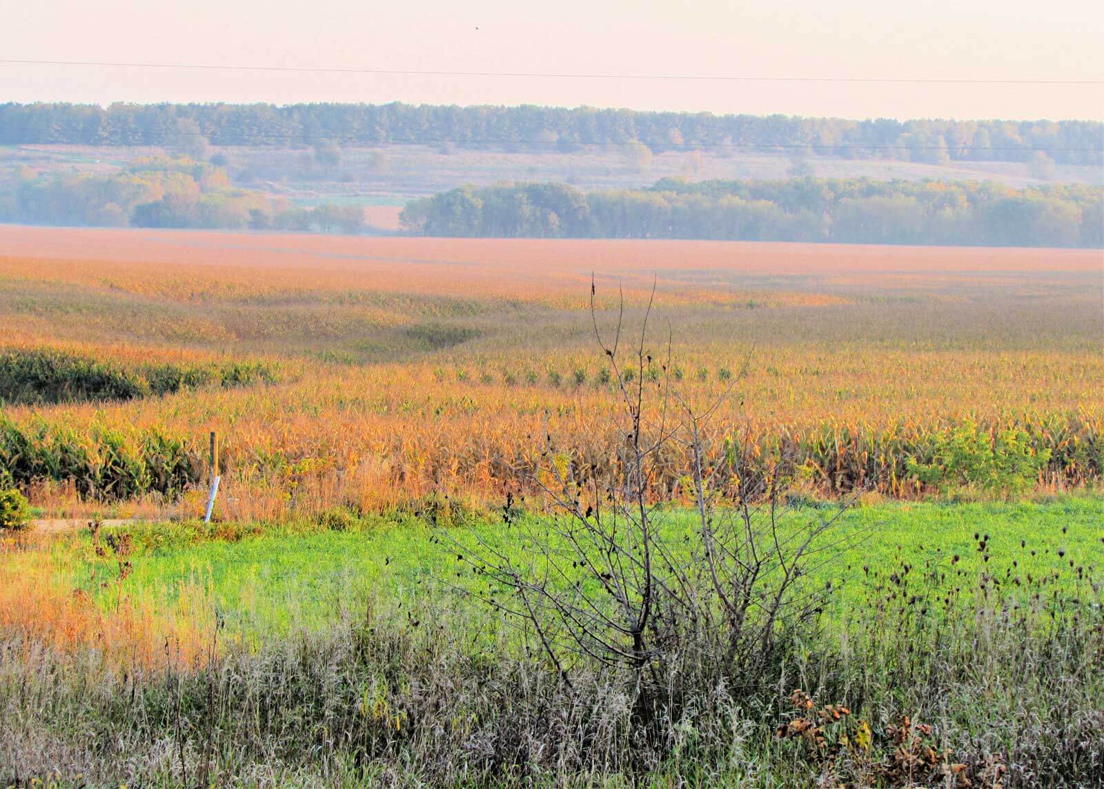 Northeastern Iowa Synod, ELCA